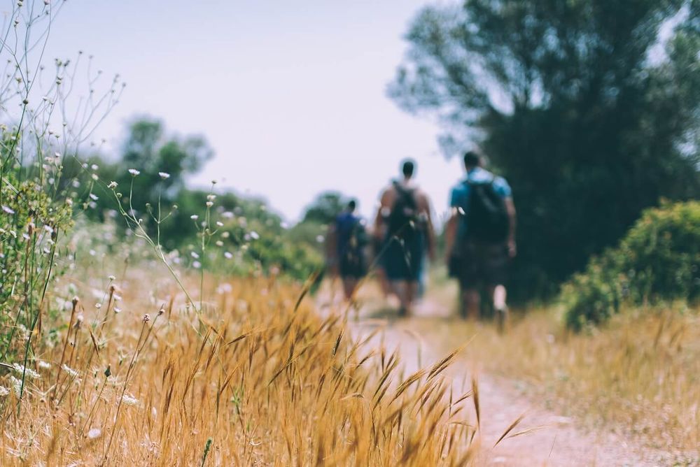 Walking for Mental Health: Taking Steps to Refocus Your Mind | YuLife